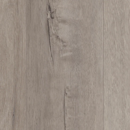 COREtec Plus Premium XL Grande Vista Oak Vinyl Flooring / COREtec Plus ...